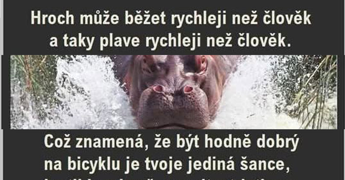 Vtipné MEMEs a Zábavné obrázky pre lepší deň! #473 (10+ vtipných ...